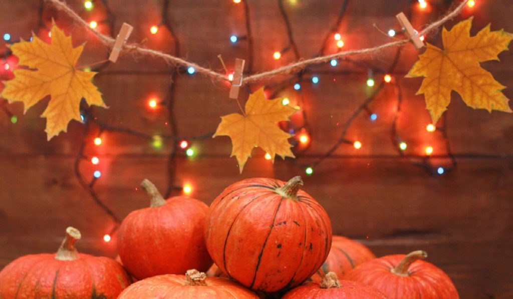 Celebrating Autumn with Fall Party Decorations — SoNice Party